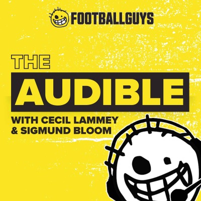 Week 2 2025 Fantasy Football RECAP | The Audible - Pocket Casts