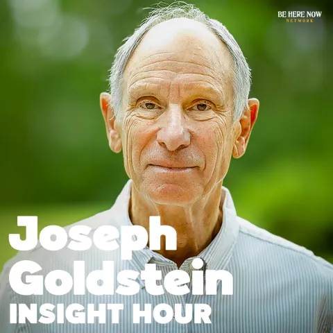 Insight Hour with Joseph Goldstein - Pocket Casts